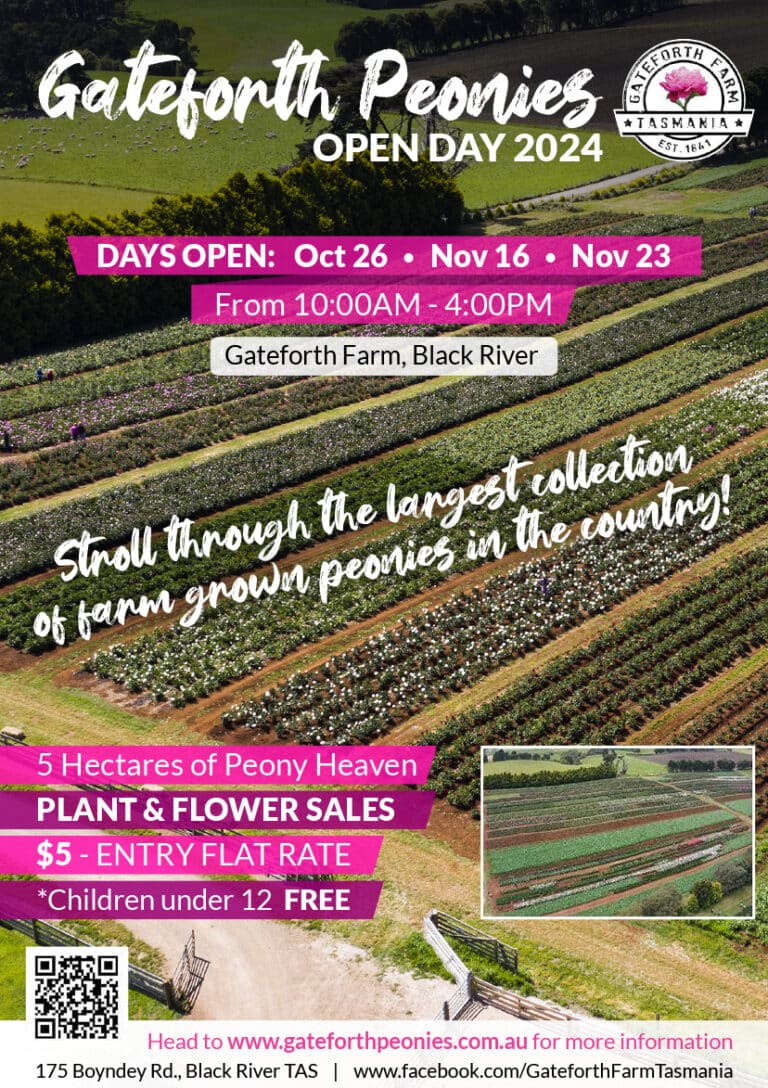Open Day 2024 – Gateforth Peonies Tasmania